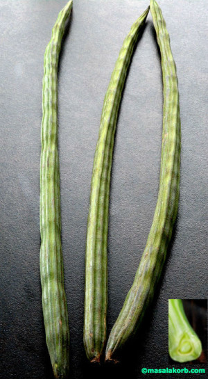 Drumstick Rasam Recipe |Murungakkai Rasam -Masalakorb